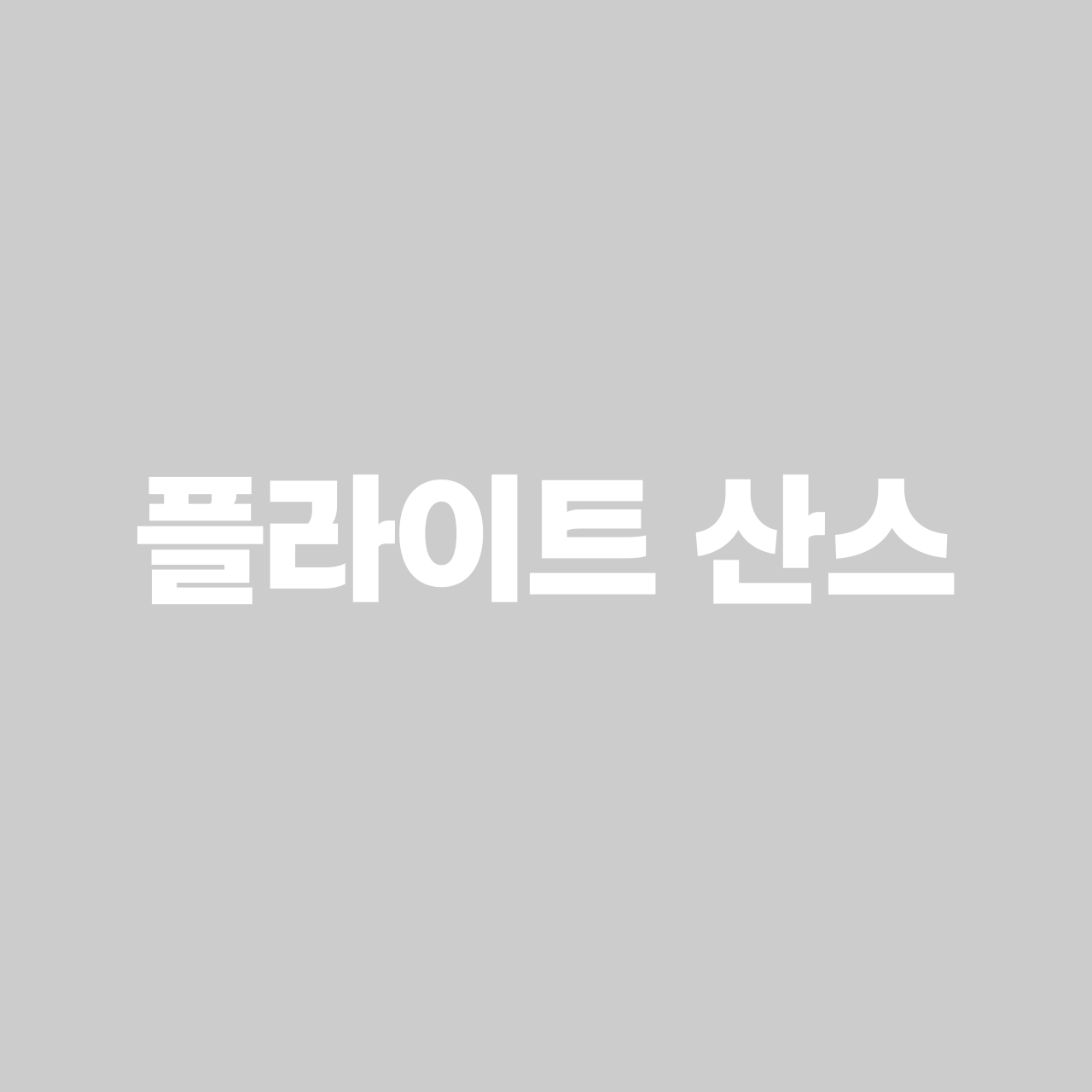 플라이트 산스 | 산돌구름