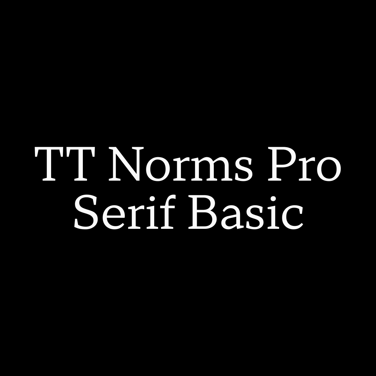 TT Norms Pro Serif Basic | SandollCloud