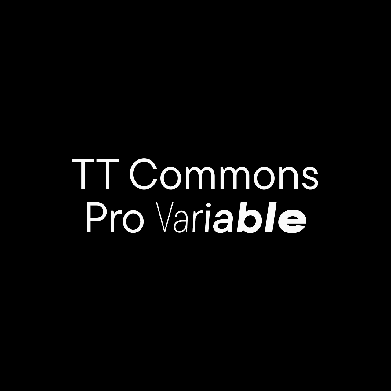 TT Commons Pro Variable | 산돌구름