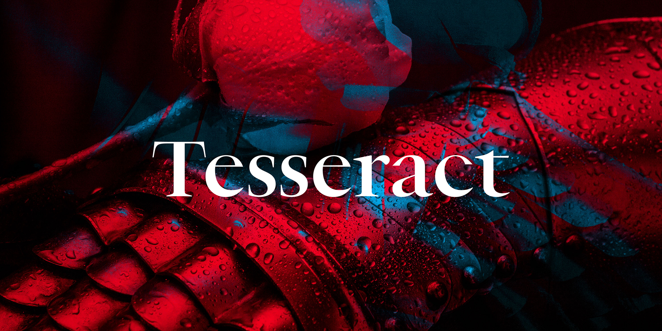 Tesseract Display | 산돌구름